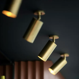 Lux Minimalist Line suspended rod spot light - in brass by Tudo and Co ...